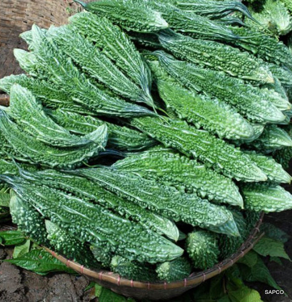 Sahaja Aharam - Bittergourd/Kakara
